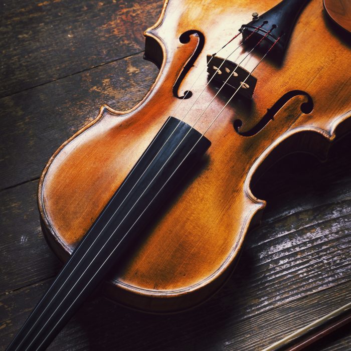 Kids and Teens Viola | The House of Voice